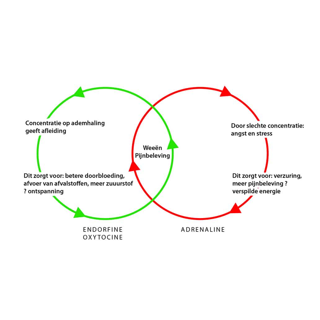 Gelukshormonen tijdens je bevalling - KraamZus.nl